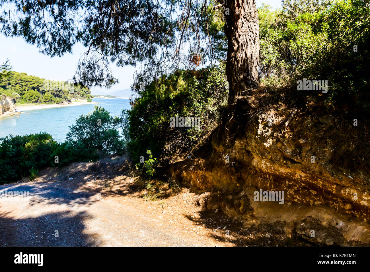Way through silhouetted frame made of conifer canopy on seashore Stock ...