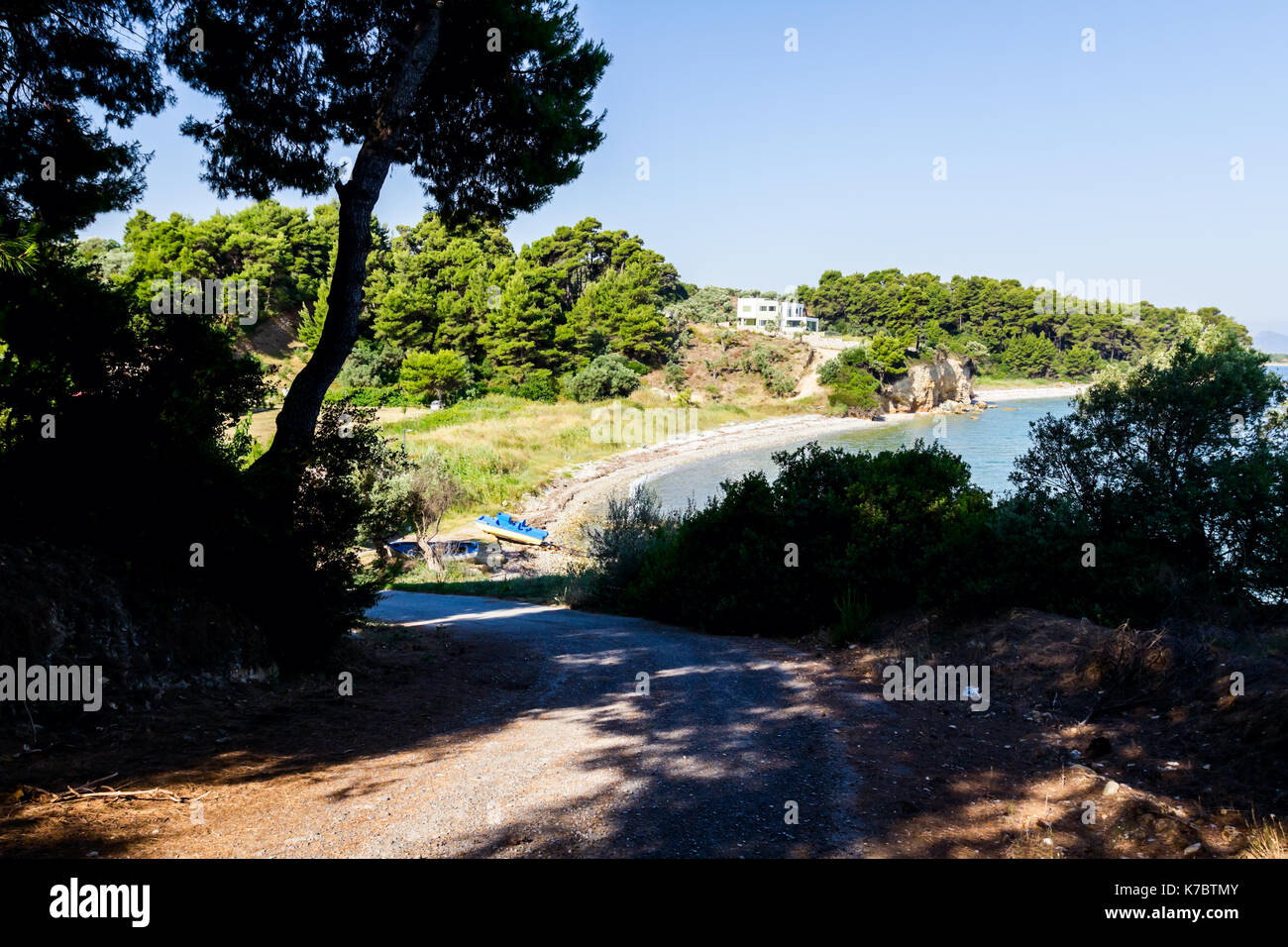 Way through silhouetted frame made of conifer canopy on seashore Stock ...