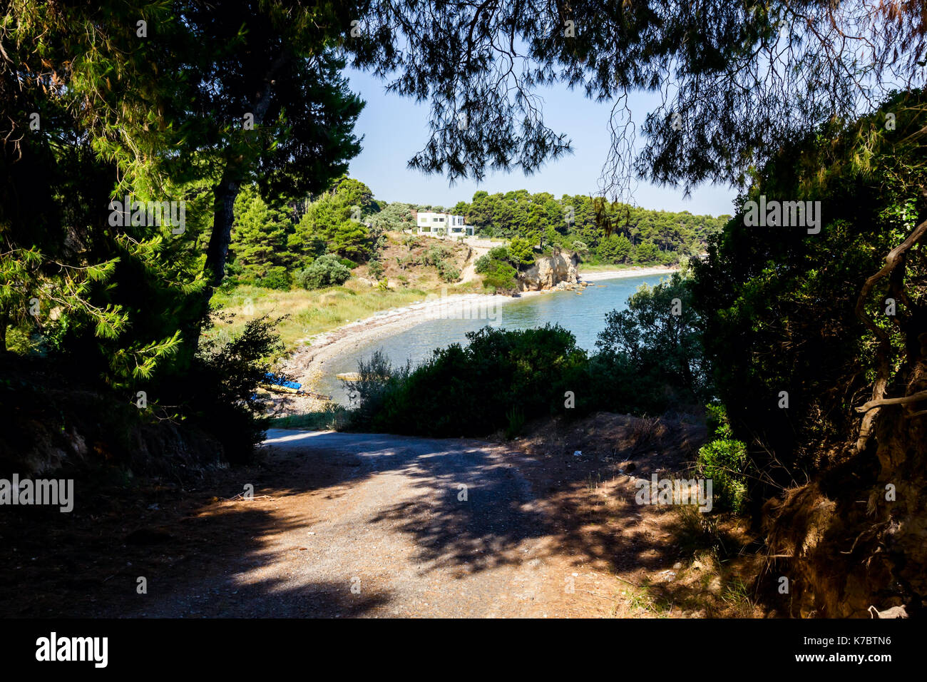 Way through silhouetted frame made of conifer canopy on seashore Stock ...
