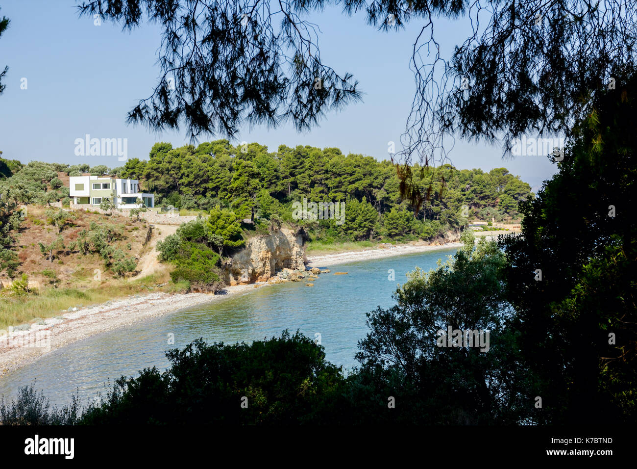 View through silhouetted frame made of conifer canopy on seashore Stock ...