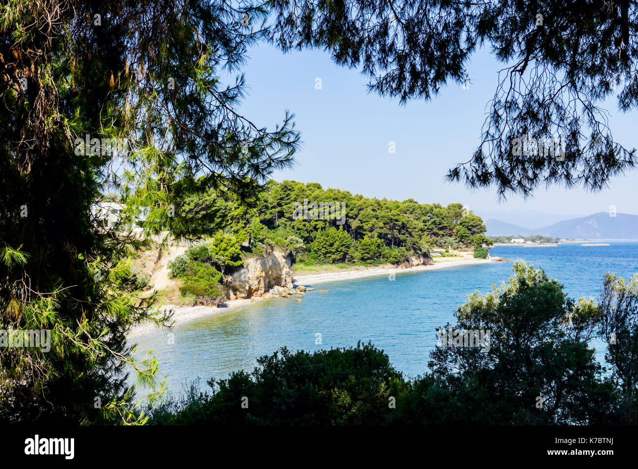 View through silhouetted frame made of conifer canopy on seashore Stock ...