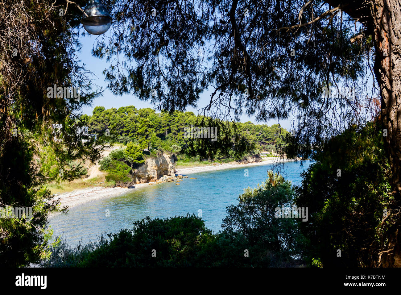 View through silhouetted frame made of conifer canopy on seashore Stock ...