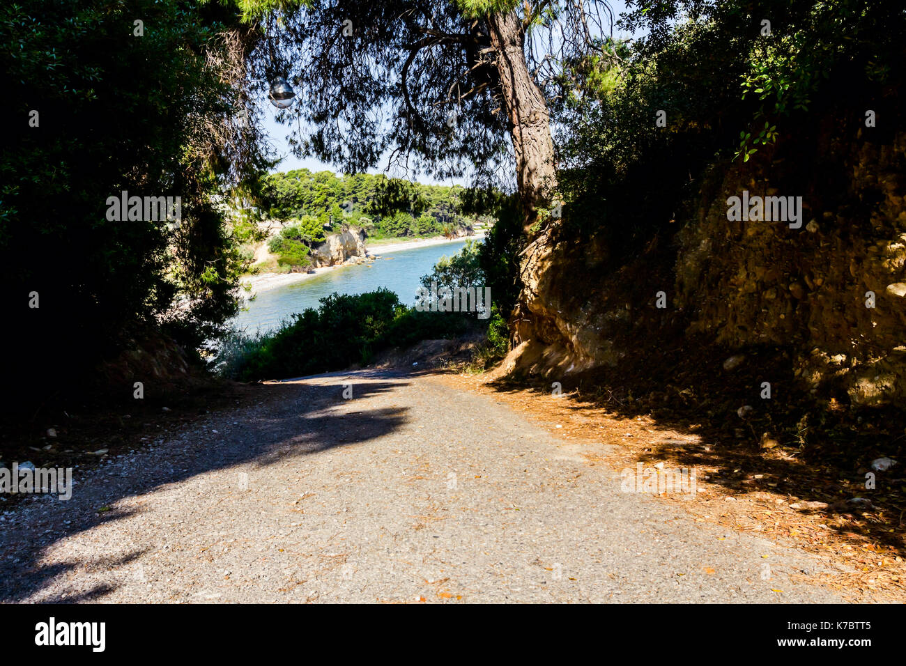 Way through silhouetted frame made of conifer canopy on seashore Stock ...