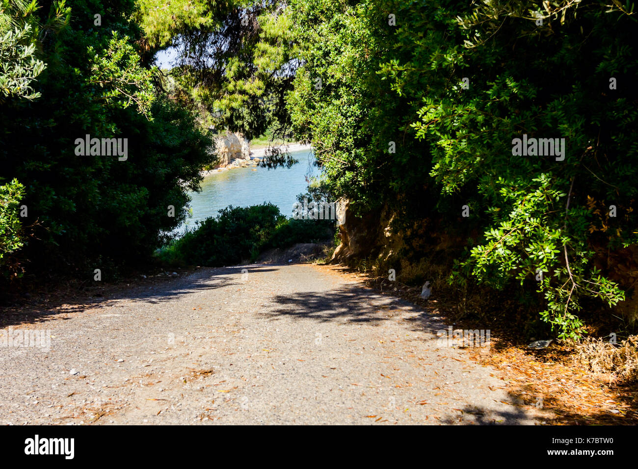 Way through silhouetted frame made of conifer canopy on seashore Stock ...