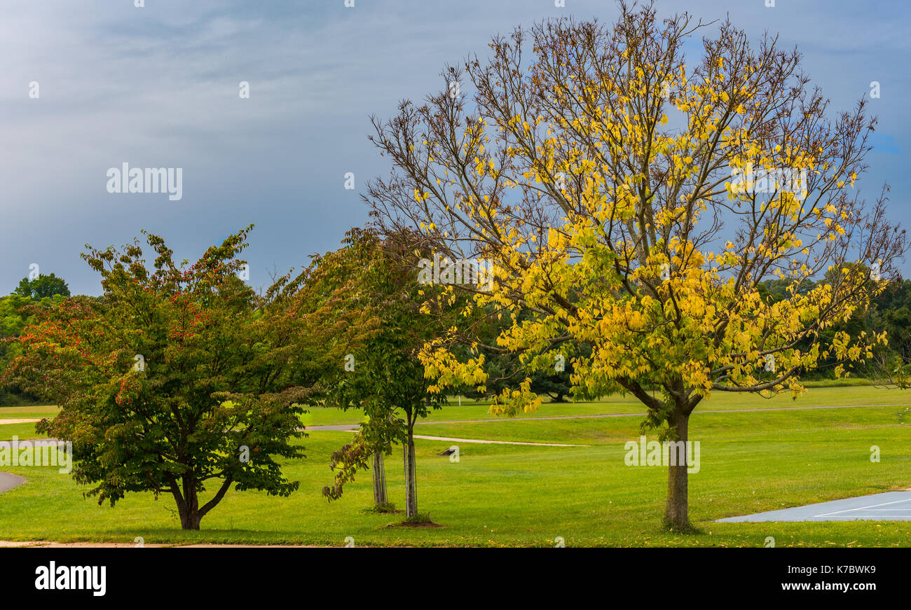 Leaves are turning colors on the trees as Autumn approaches Stock Photo ...