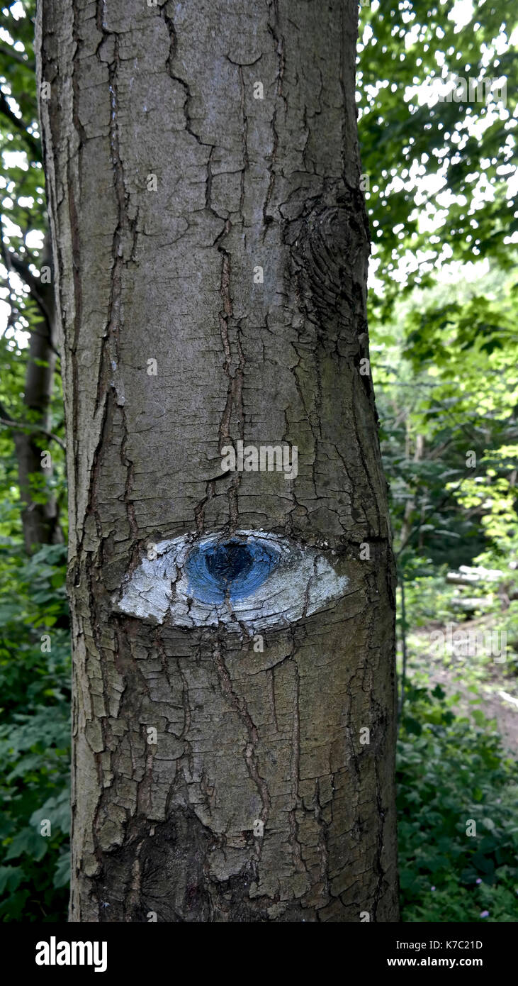 eye painted on tree in woodland Stock Photo - Alamy
