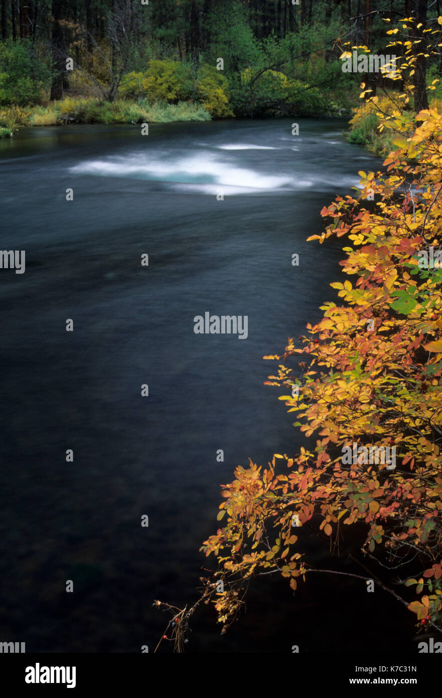 Metolius river trail hi-res stock photography and images - Alamy