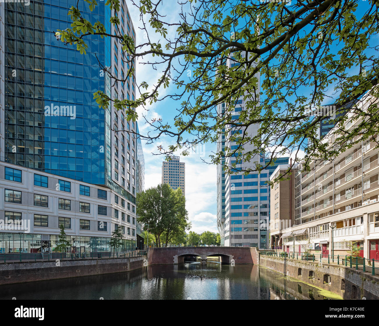 Rotterdam cityscape with canal and skyscraper Stock Photo - Alamy