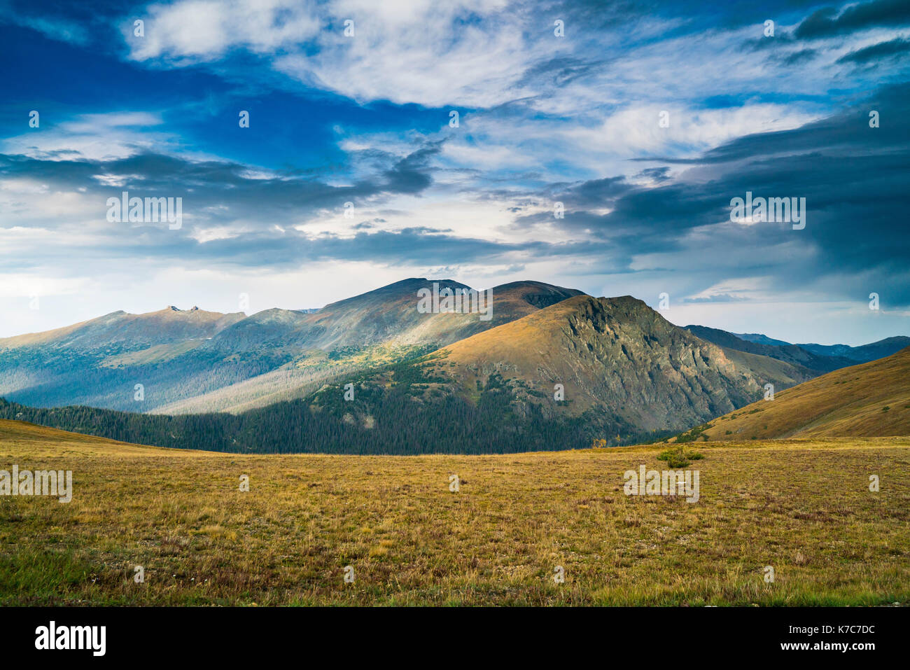 Beautiful national park hi-res stock photography and images - Alamy