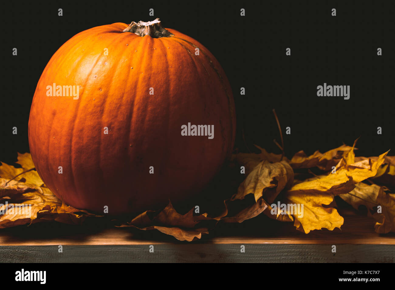 Pumpkin still life in a dark baroque style Stock Photo - Alamy