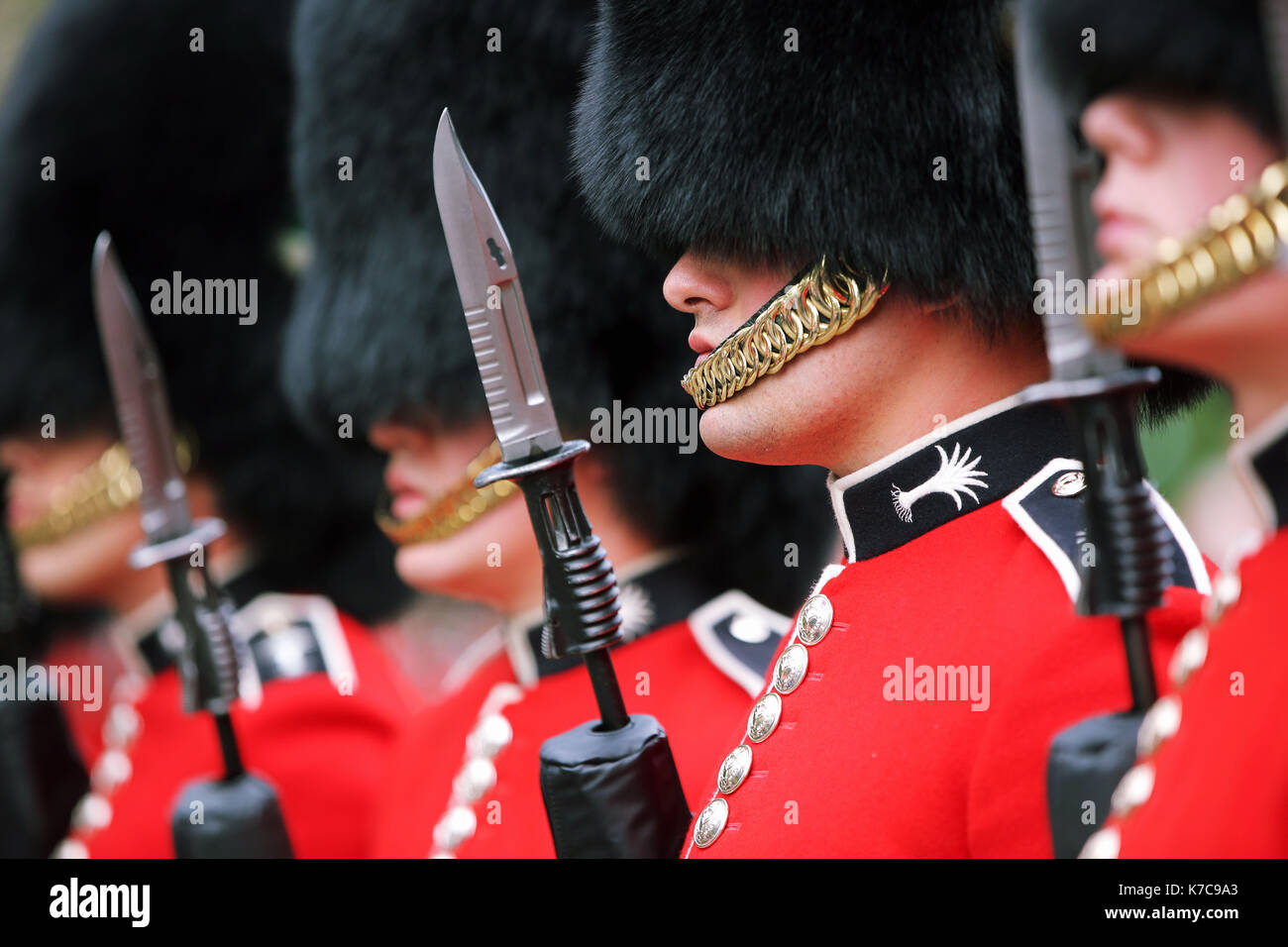Pictured: The Welsh Guards parade through Castle Square in Swansea ...