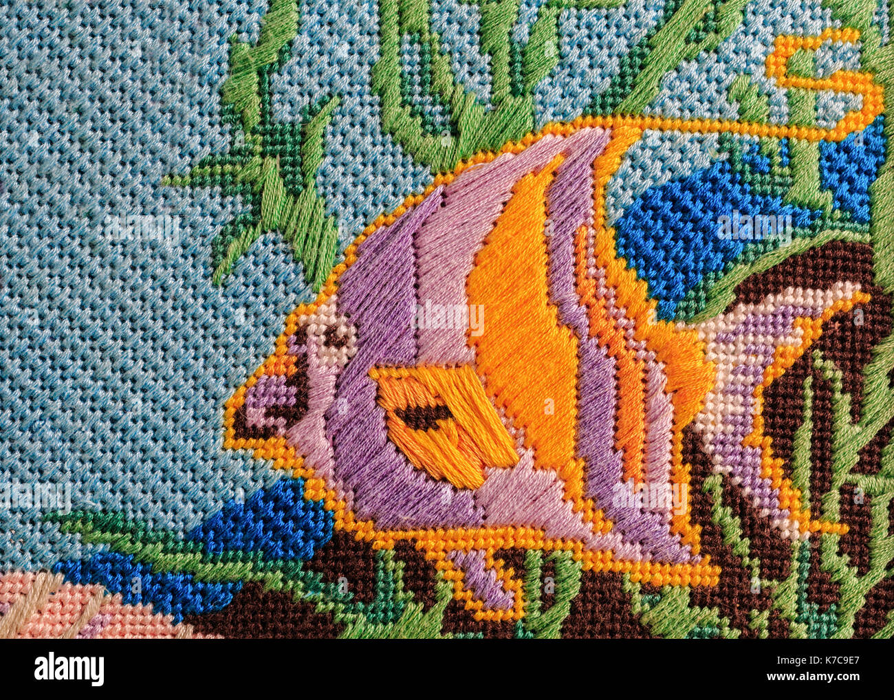 Needlepoint of various tropical fish using a variety of stitiches Stock ...