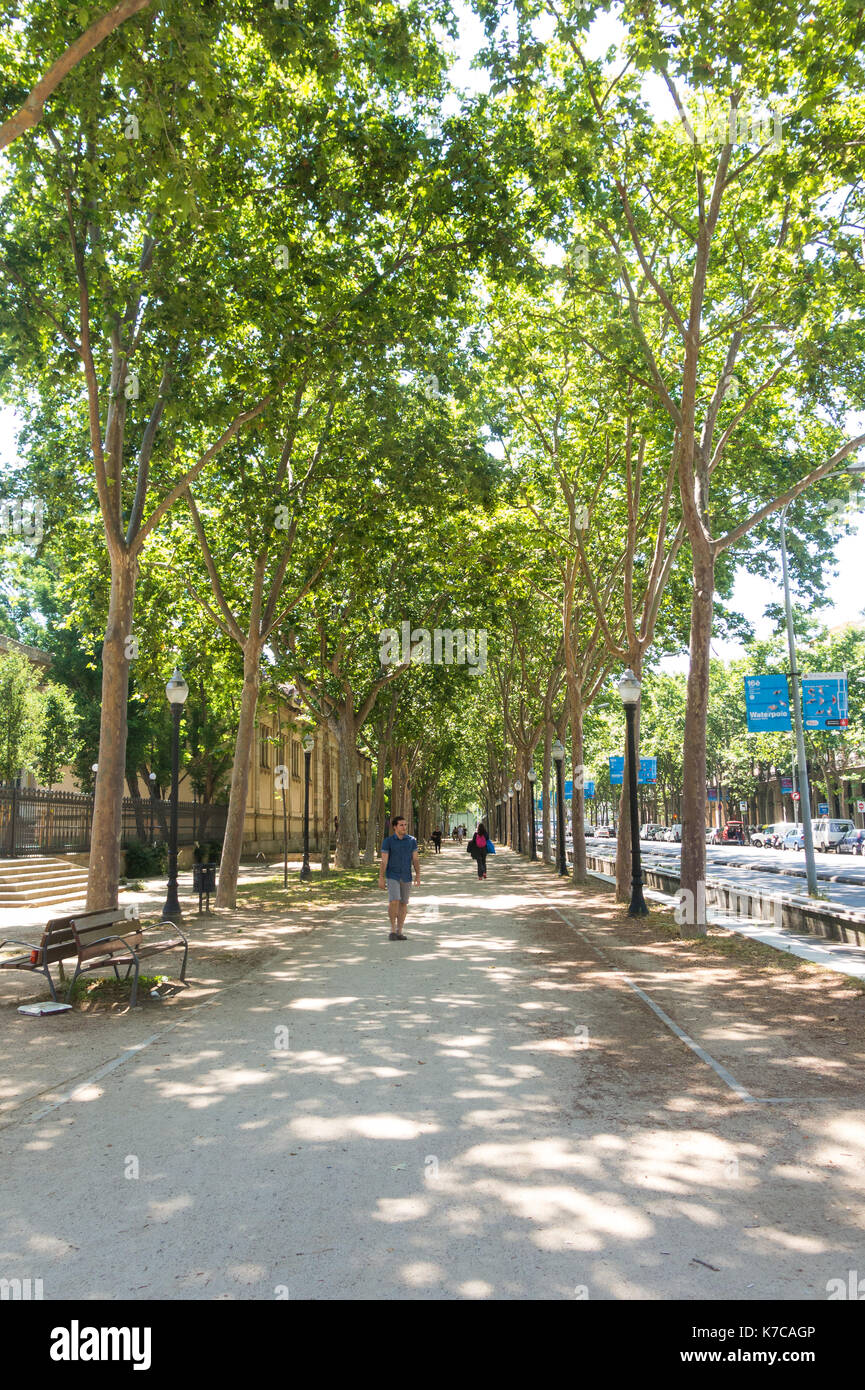 Barcelona, Spain: Paseo Picasso Walk in Barcelona, next to the ...