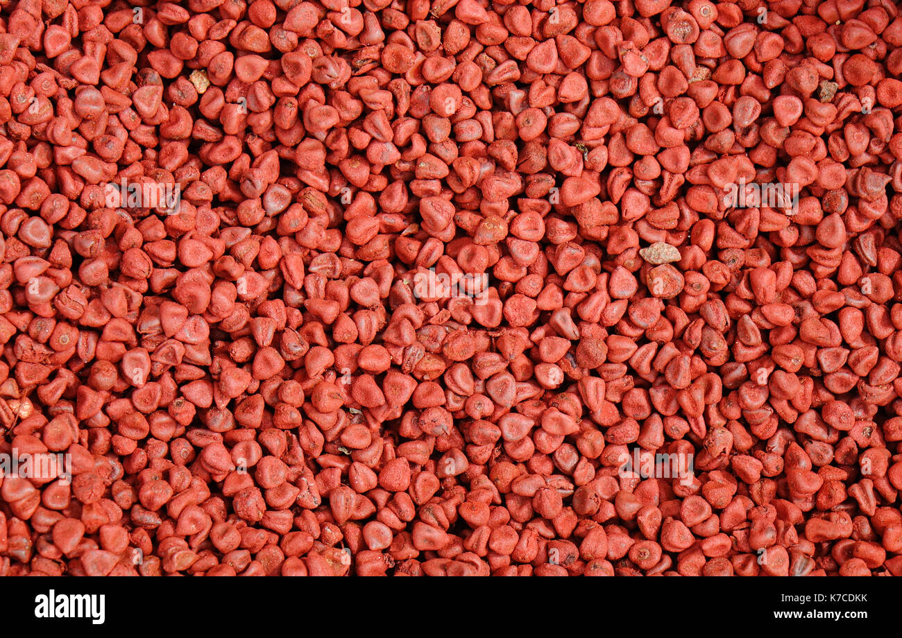 Pod red dye seed bixa color plant fruit paint bixin colour achiote ...