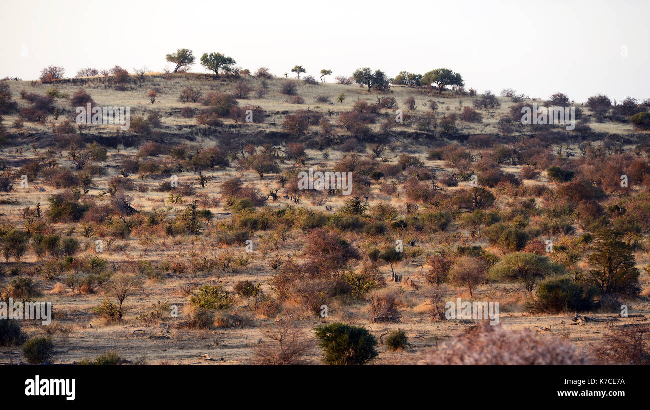 Tuli block hi-res stock photography and images - Alamy