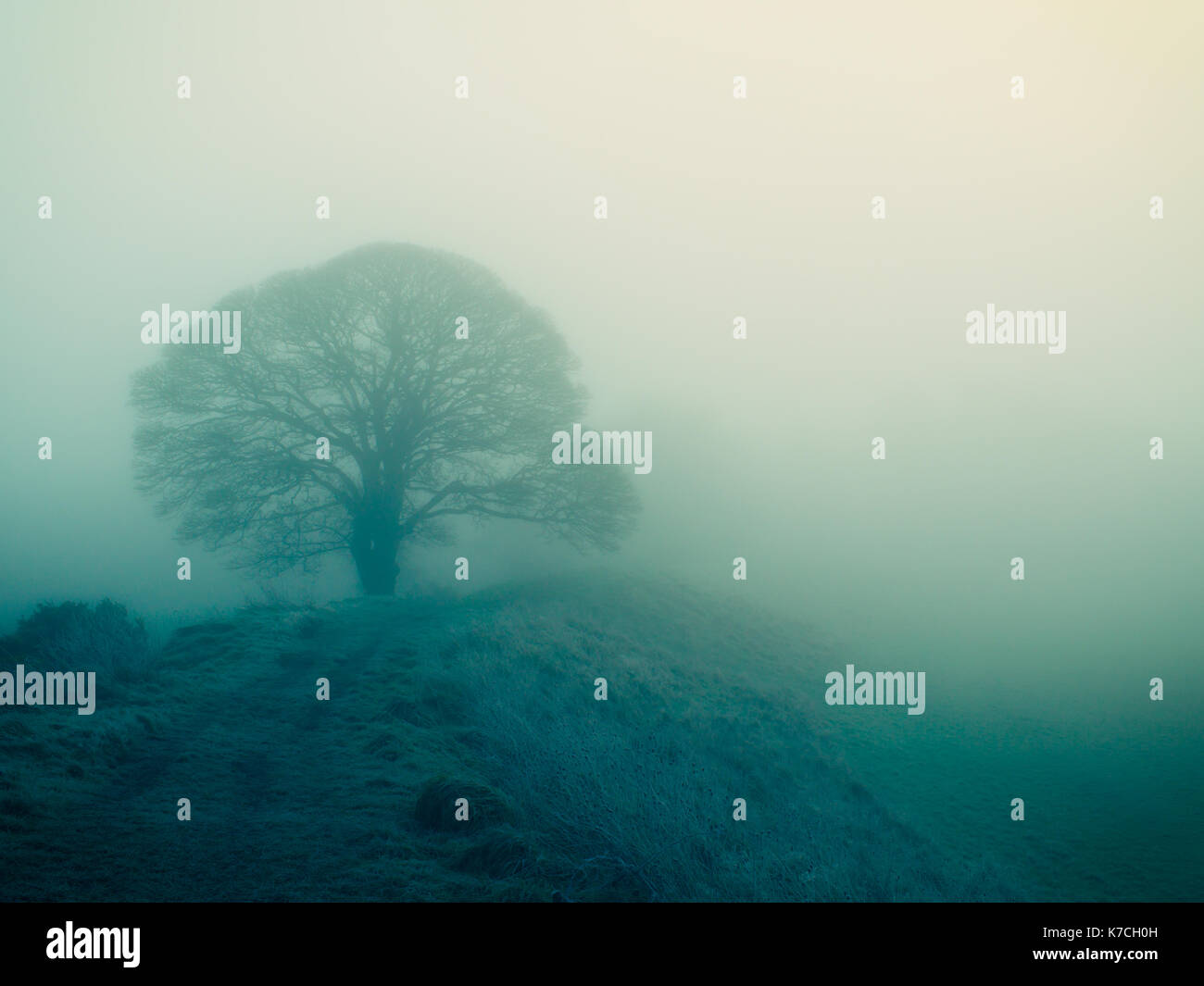 foggy countryside in Northern Ireland Stock Photo - Alamy