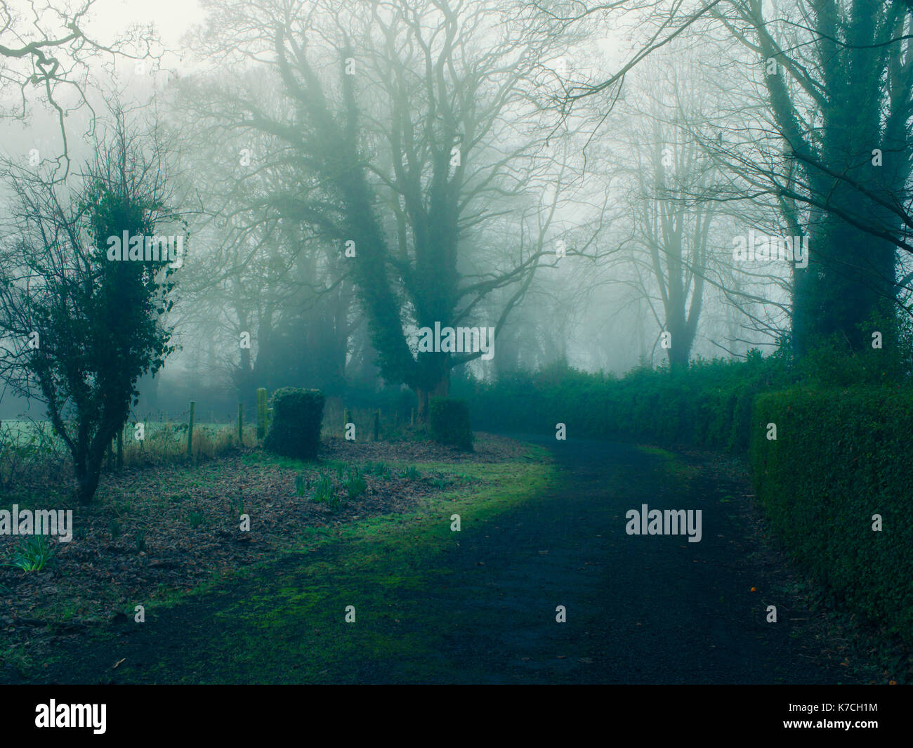 foggy countryside in Northern Ireland Stock Photo - Alamy