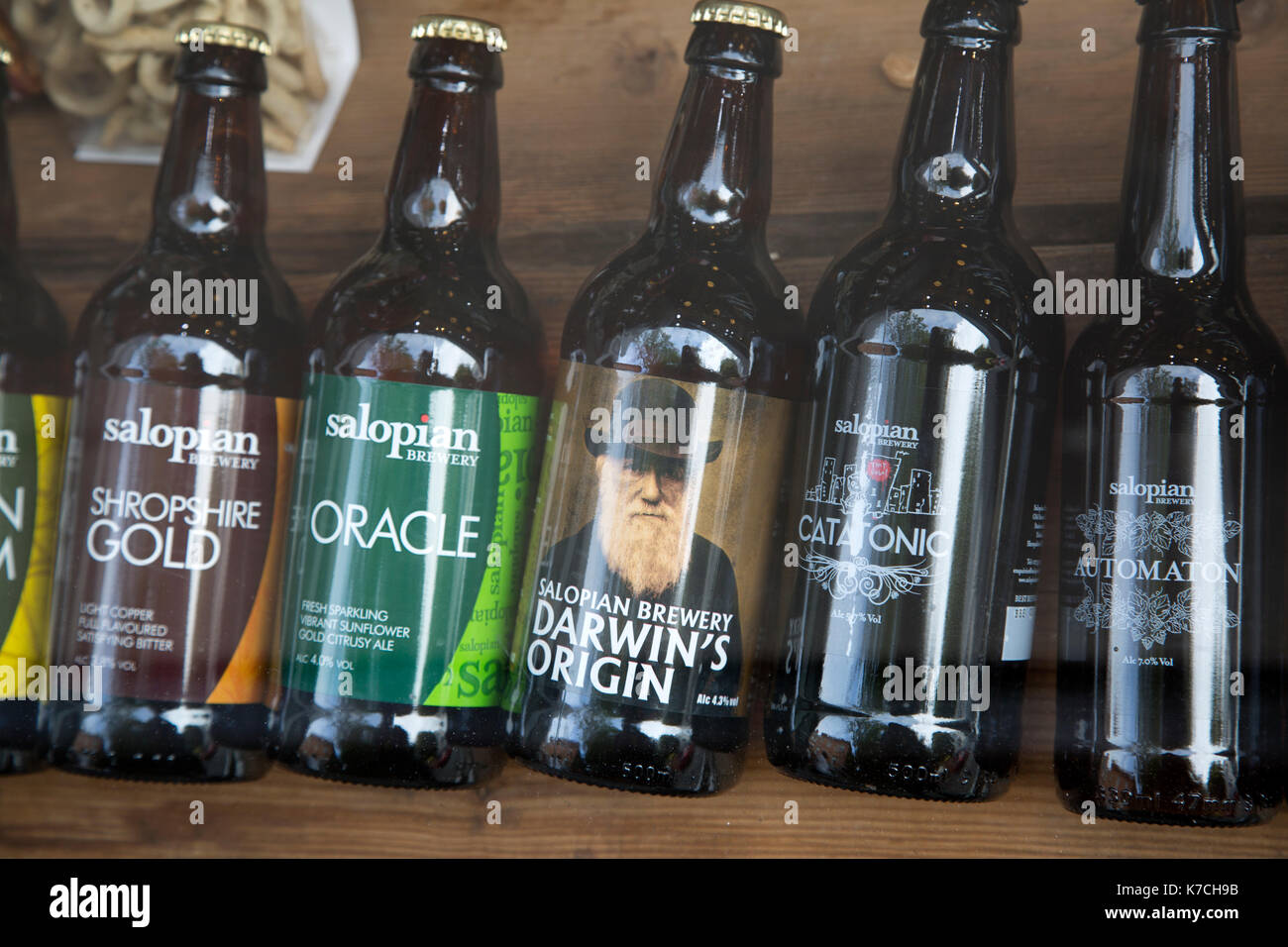 Darwins Origin Salopian Brewery Beer Bottle in Shop Window; Wyle Cop ...