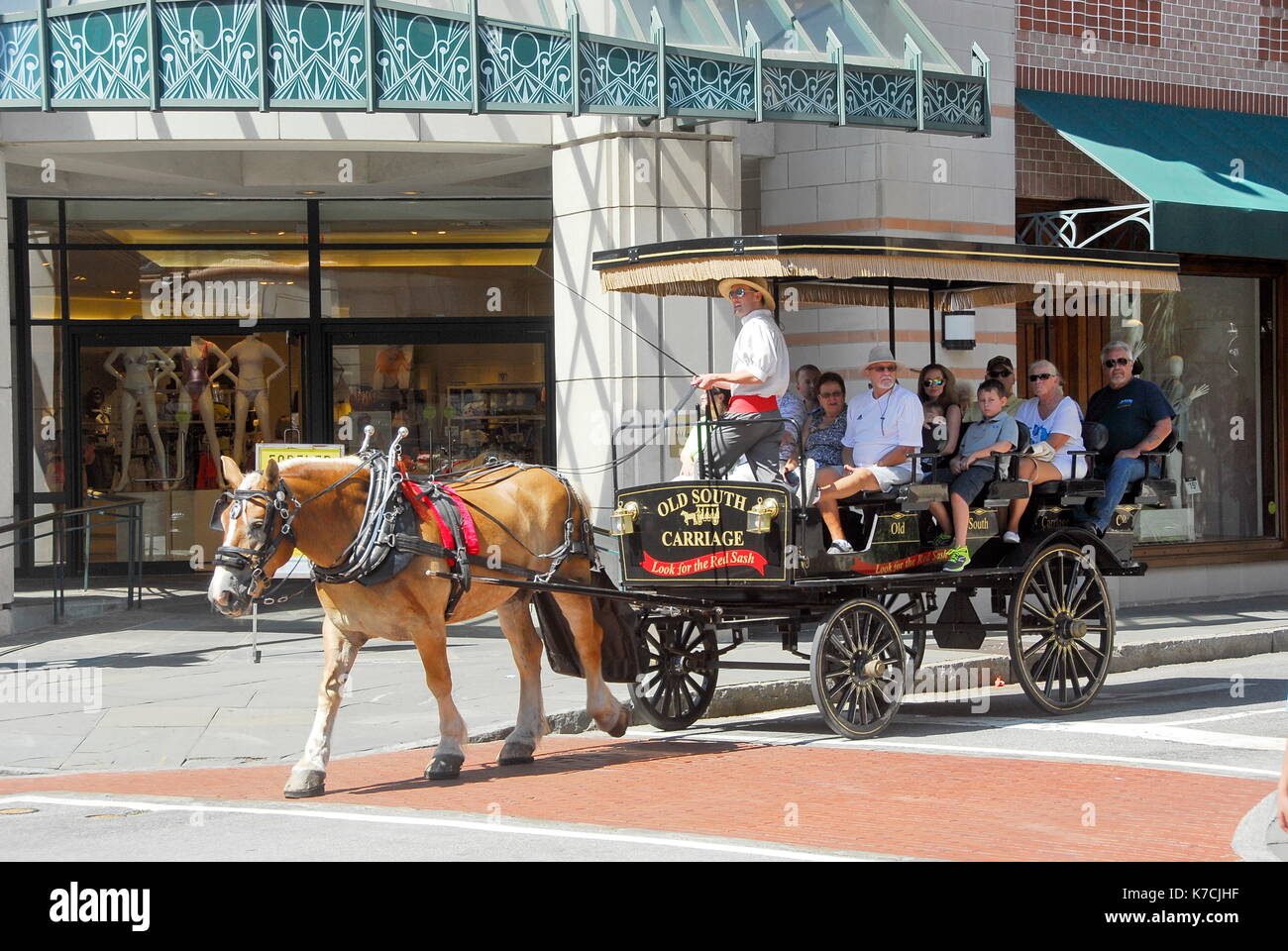 Carriage tours through historic Charleston district in Charleston ...