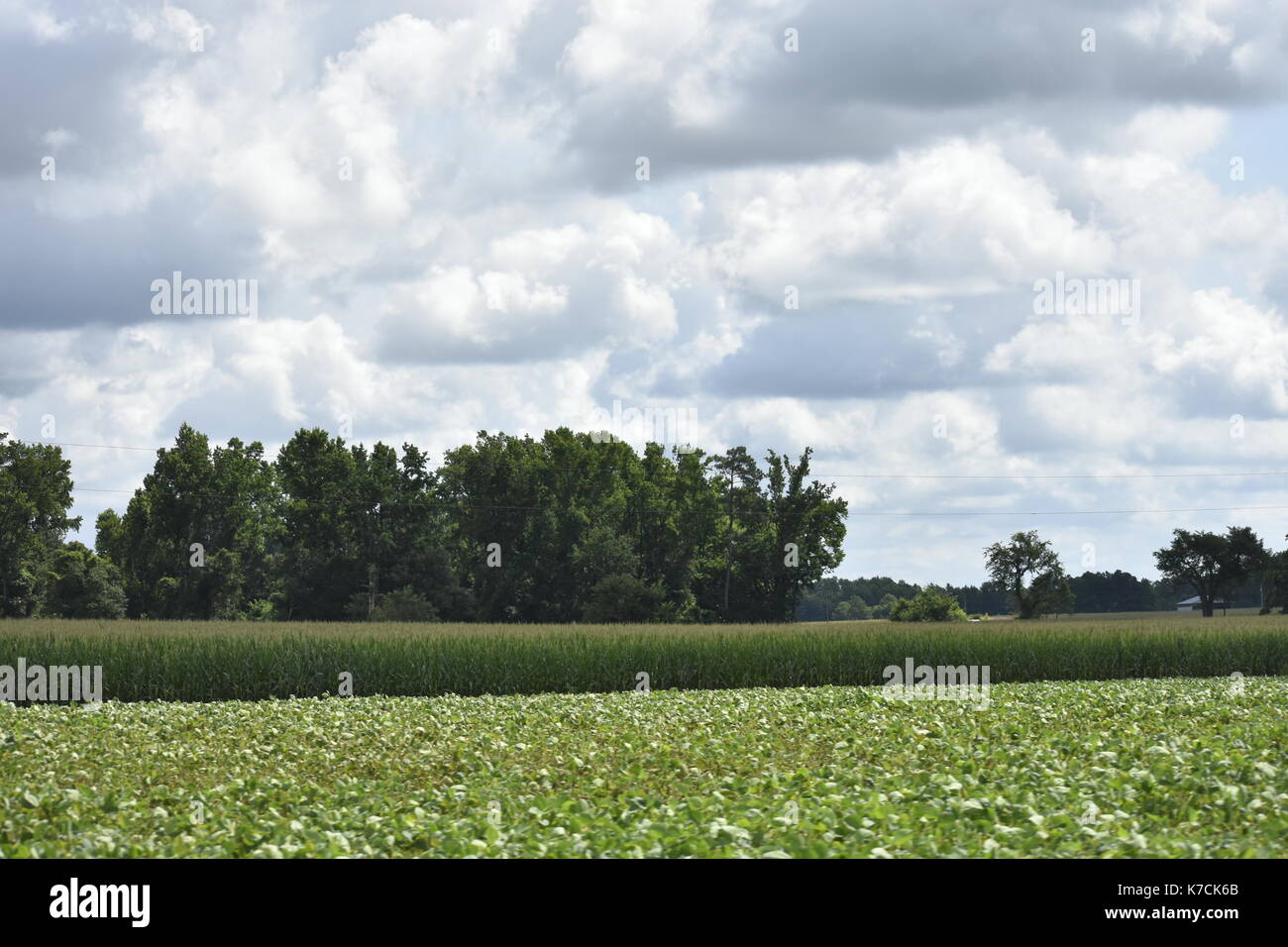 Fields of Agriculture Stock Photo - Alamy