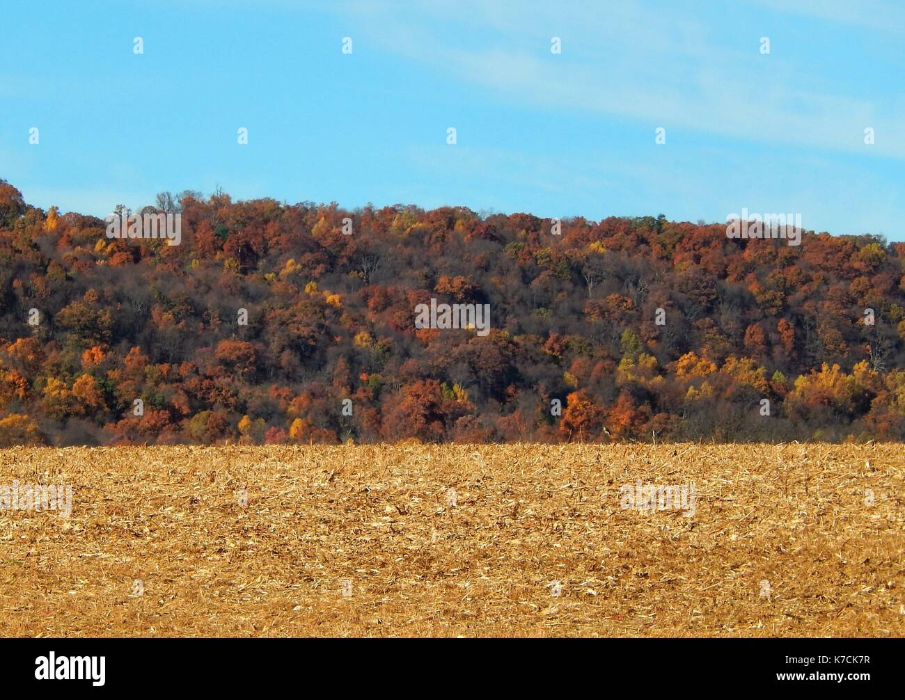 Fall foliage in pennsylvania hi-res stock photography and images - Alamy