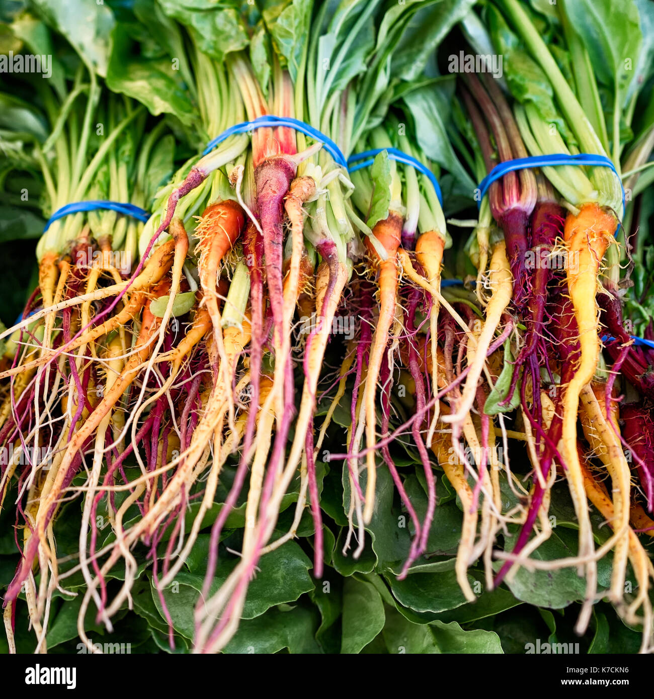 Colorful bundles of baby root vegetables. Close up Stock Photo - Alamy