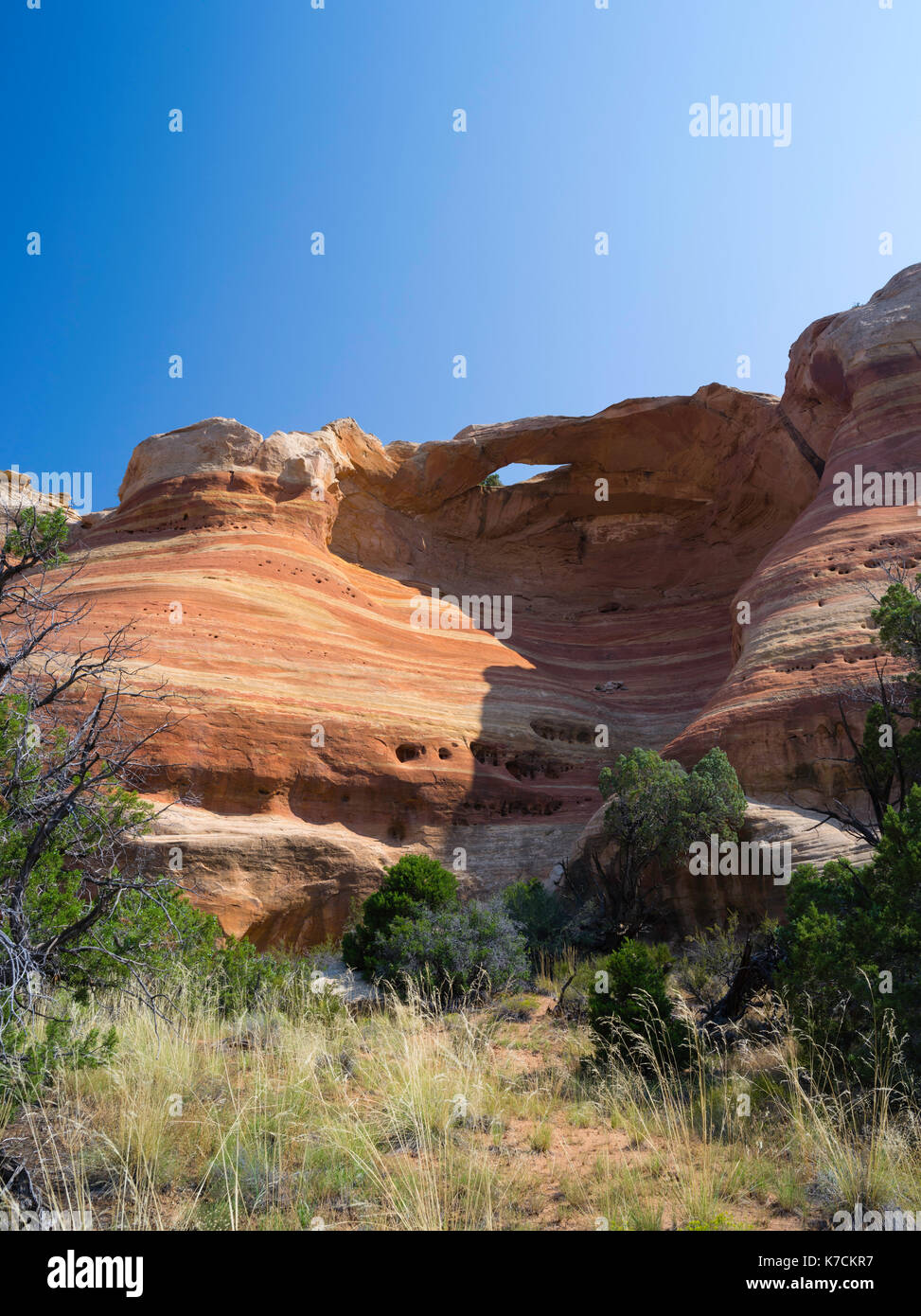 A natural arch, Rattlesnake Canyon, Black Ridge Wilderness, Colorado ...