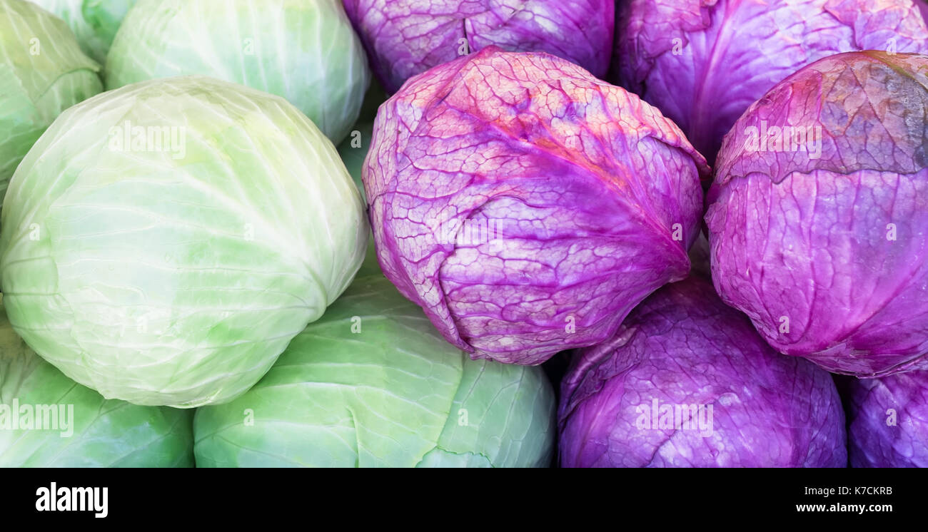 Cabbages hi-res stock photography and images - Alamy