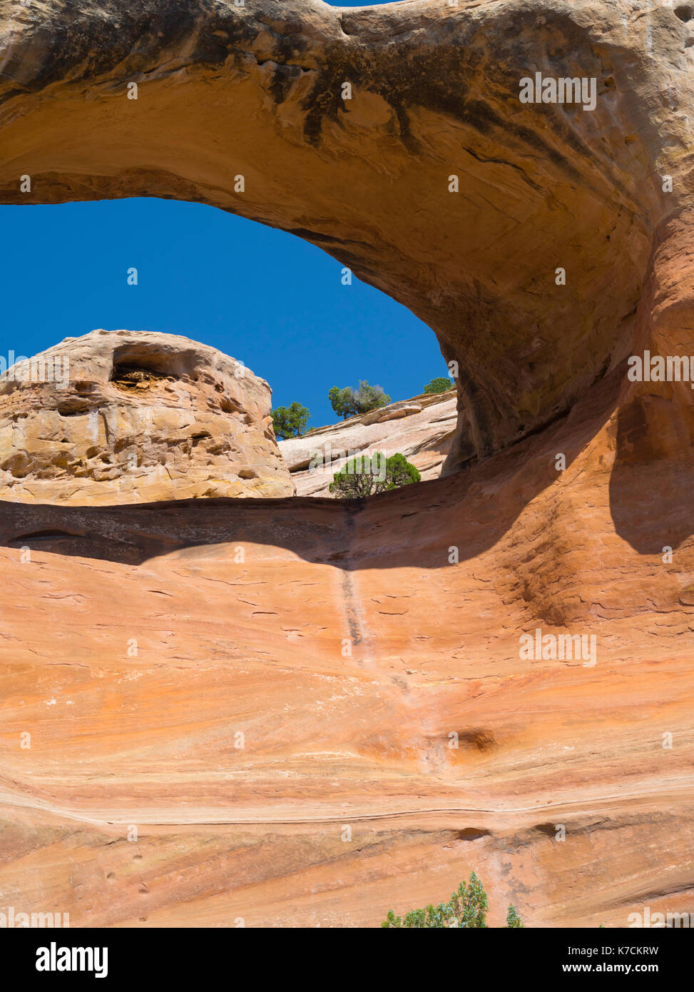 Rainbow Arch, Rattlesnake Canyon, Black Ridge Wilderness, Colorado ...