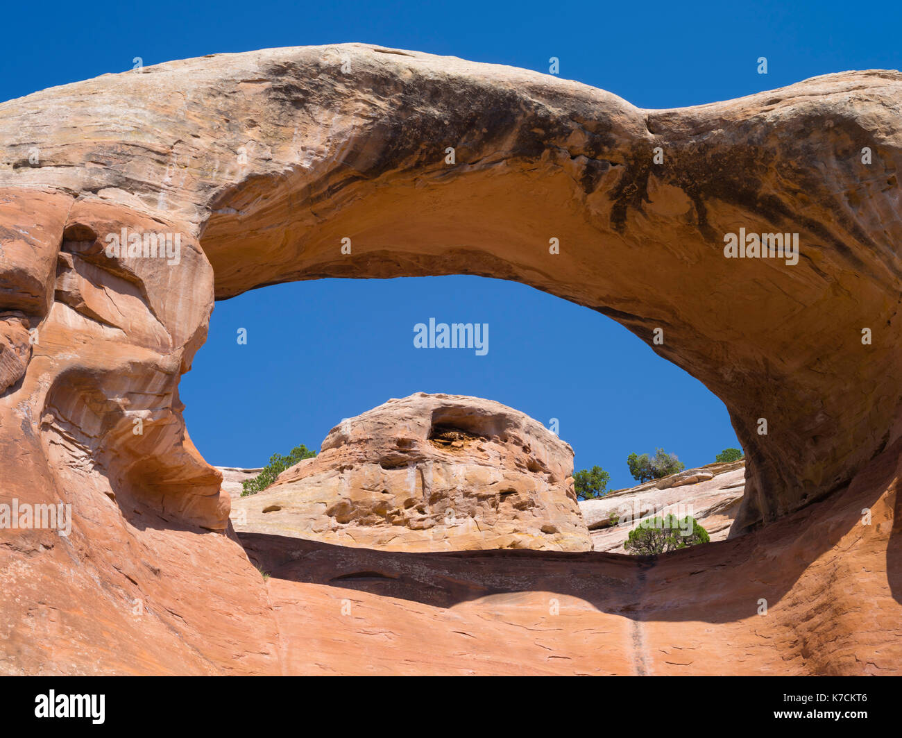 Rainbow Arch, Rattlesnake Canyon, Black Ridge Wilderness, Colorado ...