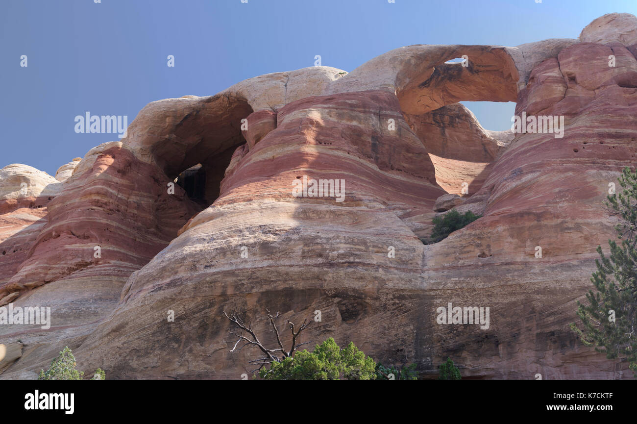 Hole in the Bridge Arch, Rattlesnake Canyon, Black Ridge Wilderness ...
