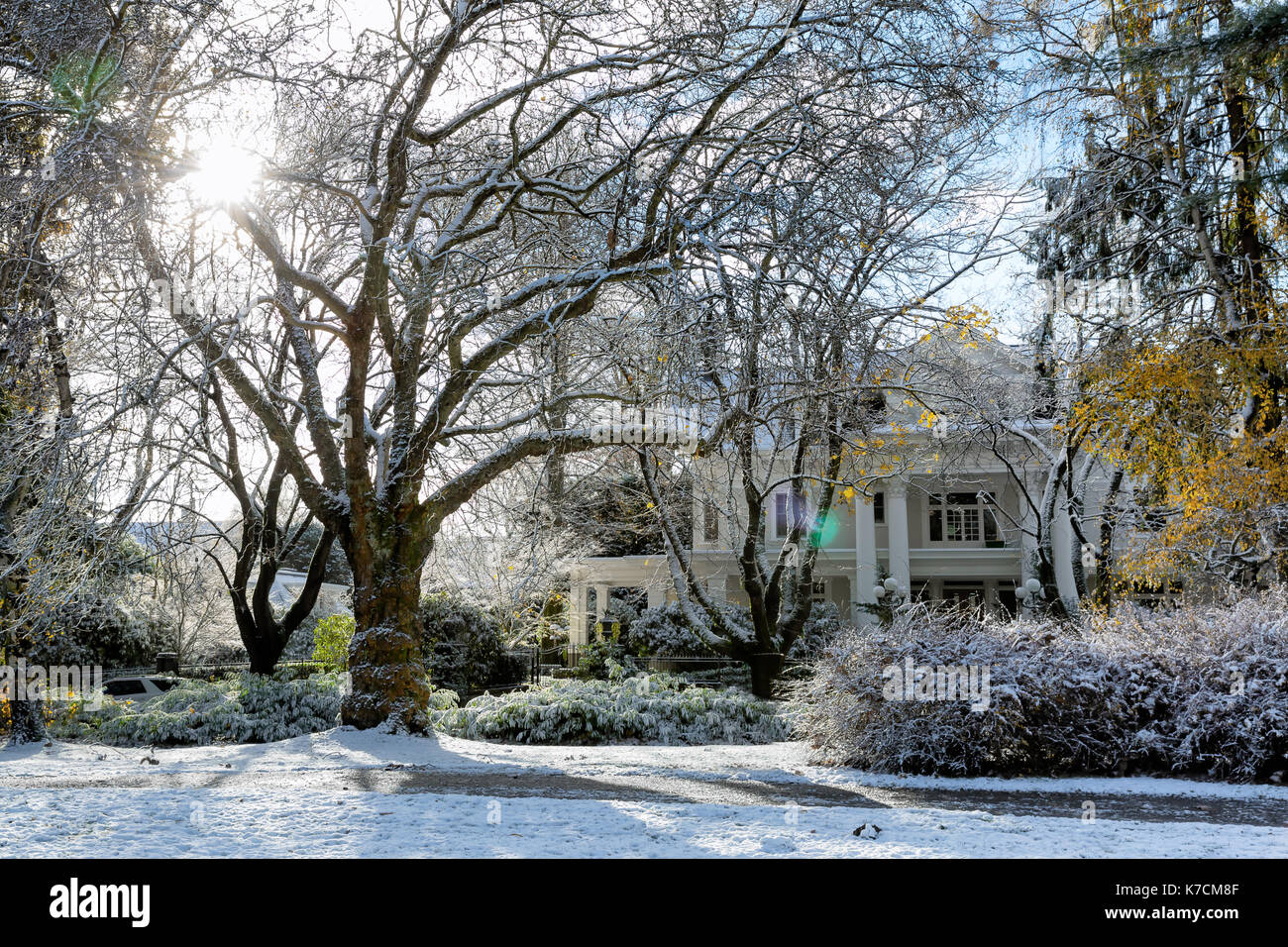 Fancy neighborhood hi-res stock photography and images - Alamy