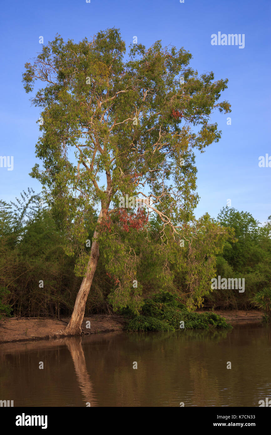 Billbong hi-res stock photography and images - Alamy