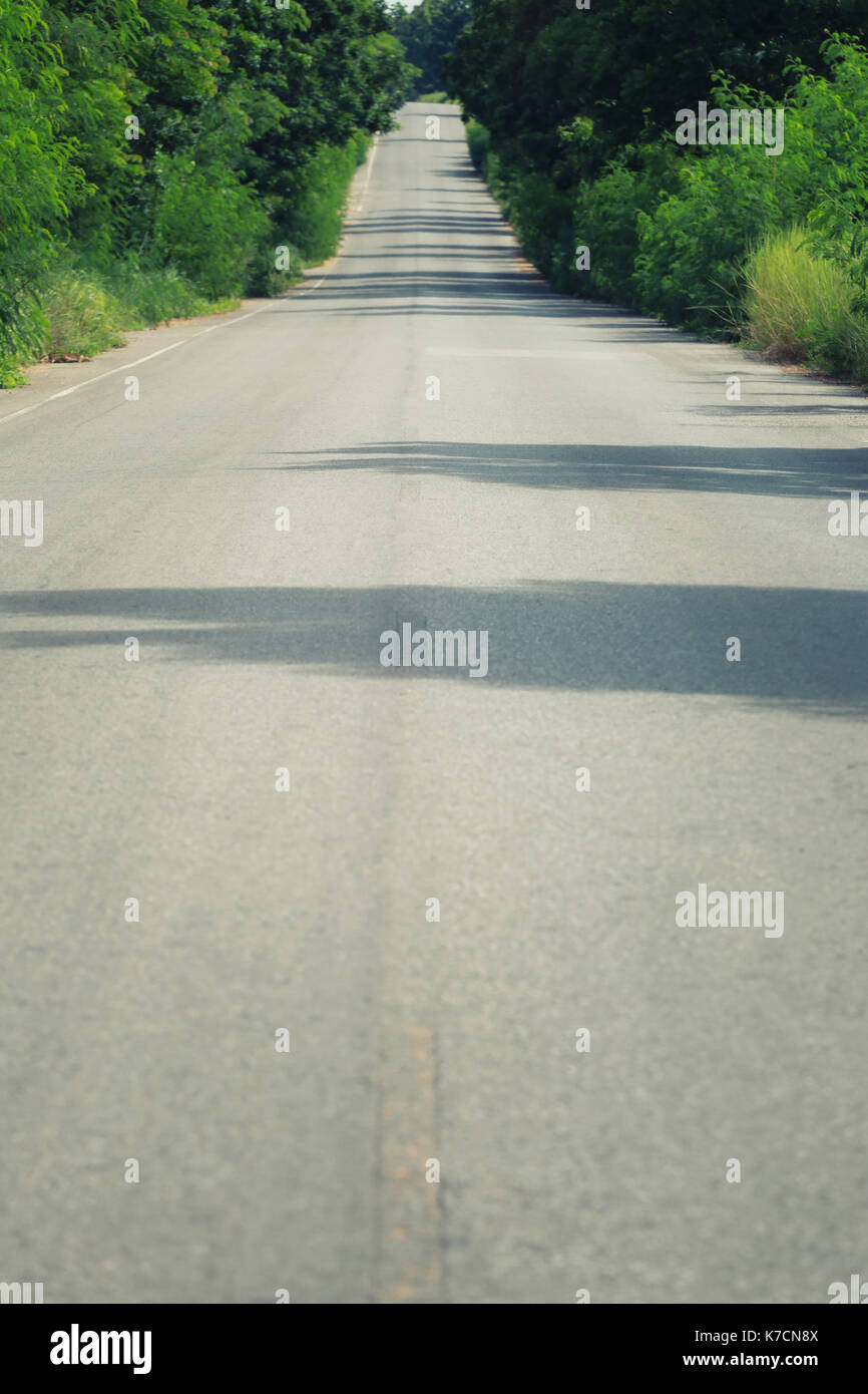 Road with trees at both sides hi-res stock photography and images - Alamy