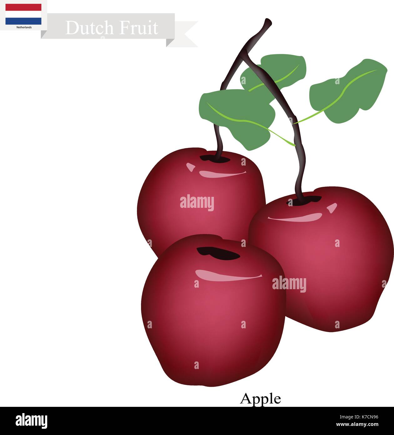 Europe apple Stock Vector Images - Alamy
