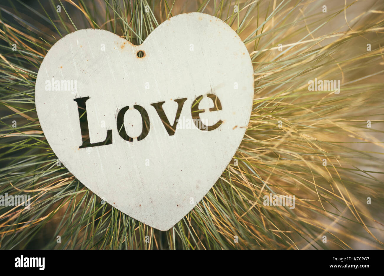 Plaque decoration hi-res stock photography and images - Alamy