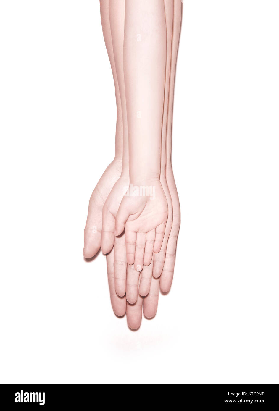 A Family father, mother and son hand (palm) stack together isolated on ...