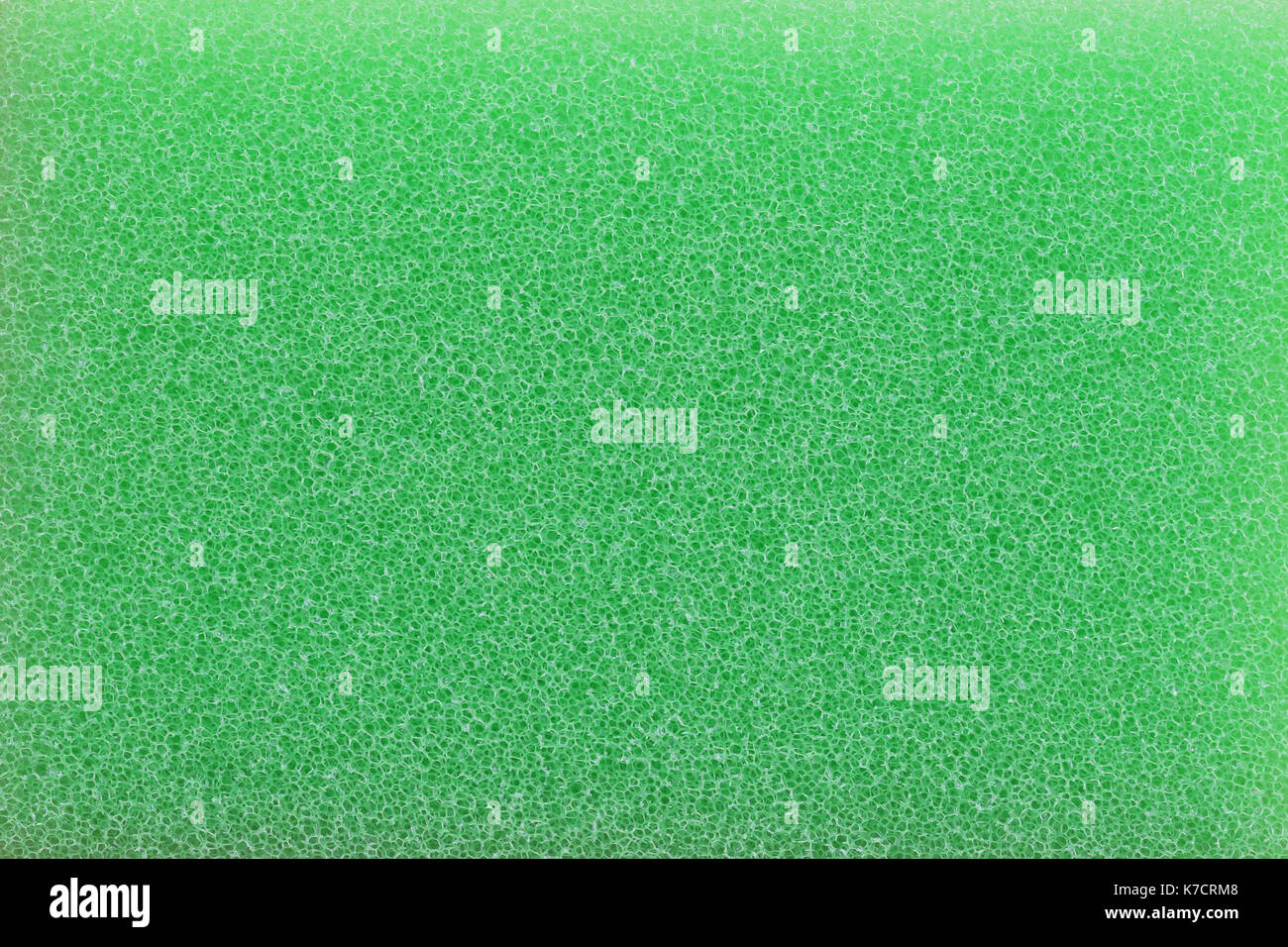 green sponge surface background for design Texture backdrop in your ...