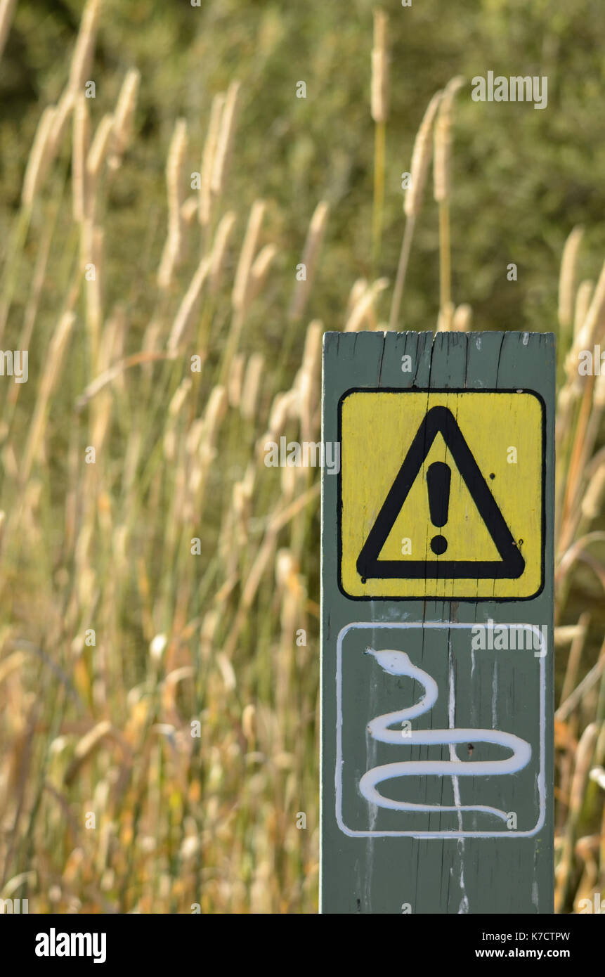 Australian snakes hi-res stock photography and images - Alamy