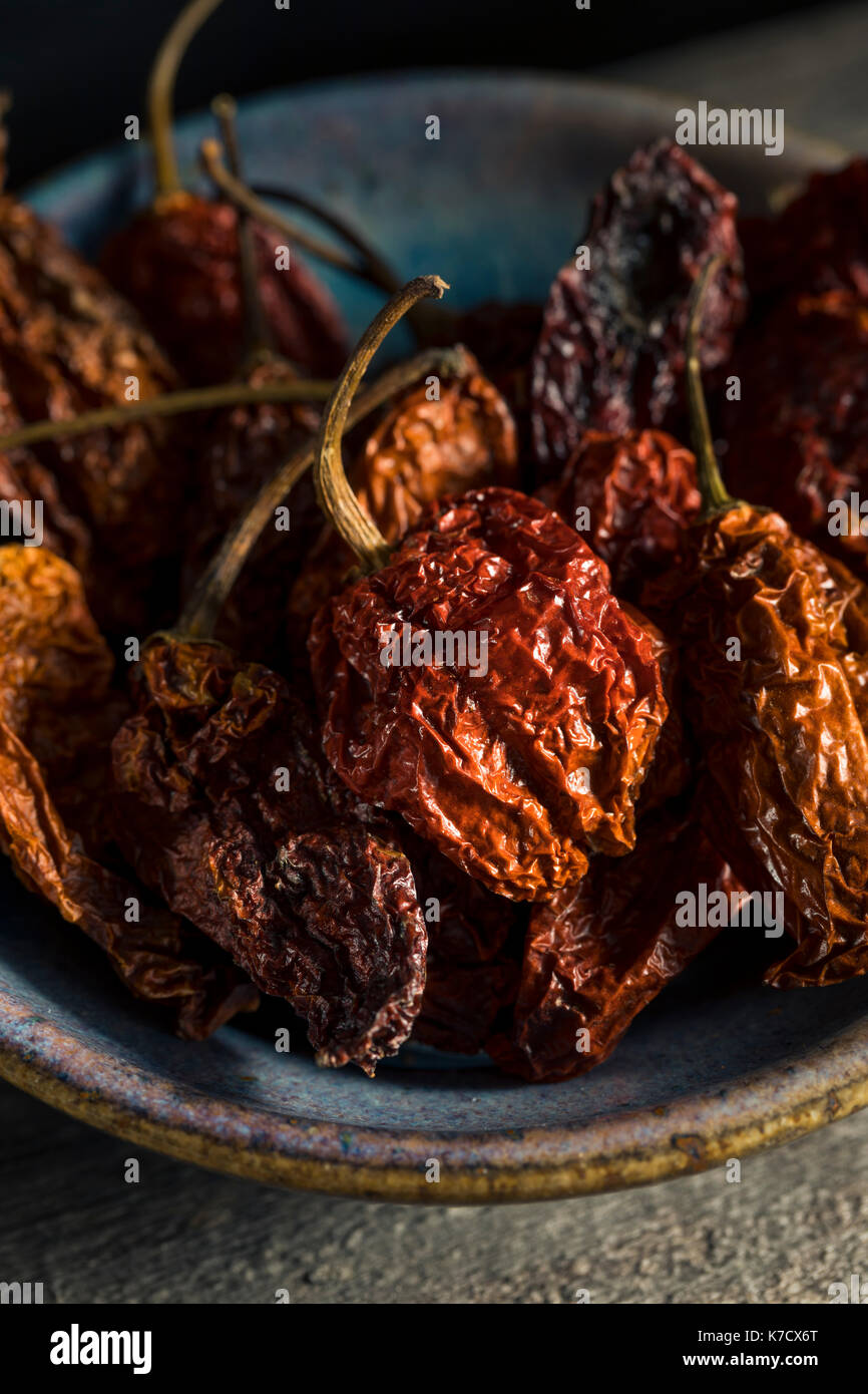 Super Hot Spicy Scorpion Bhut Jolokia Pepper Ready to Use Stock Photo ...