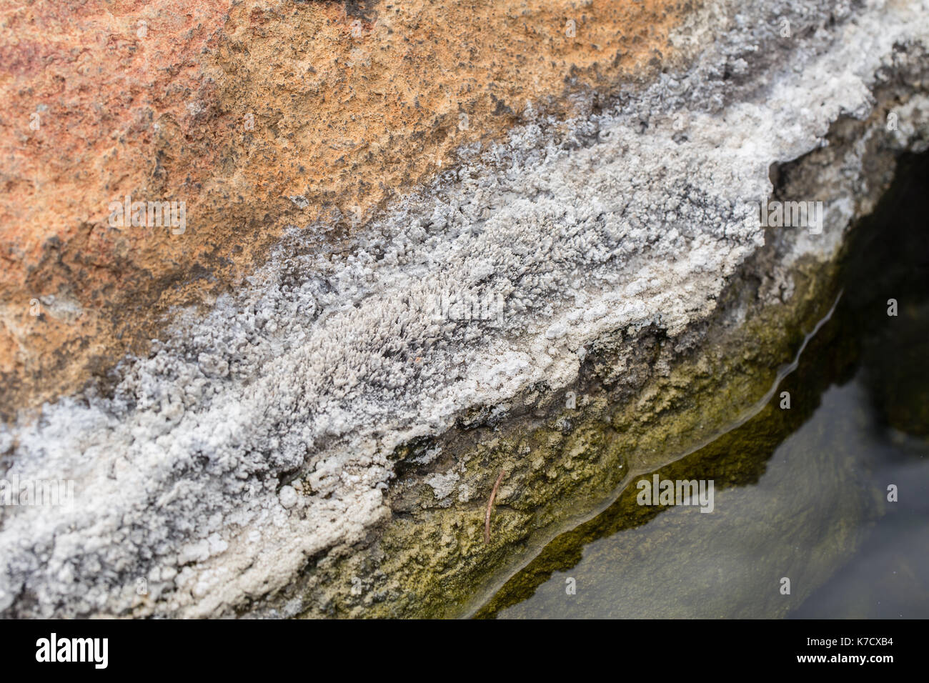 White algae and mineral layer in the stone in nature hot springs Stock ...