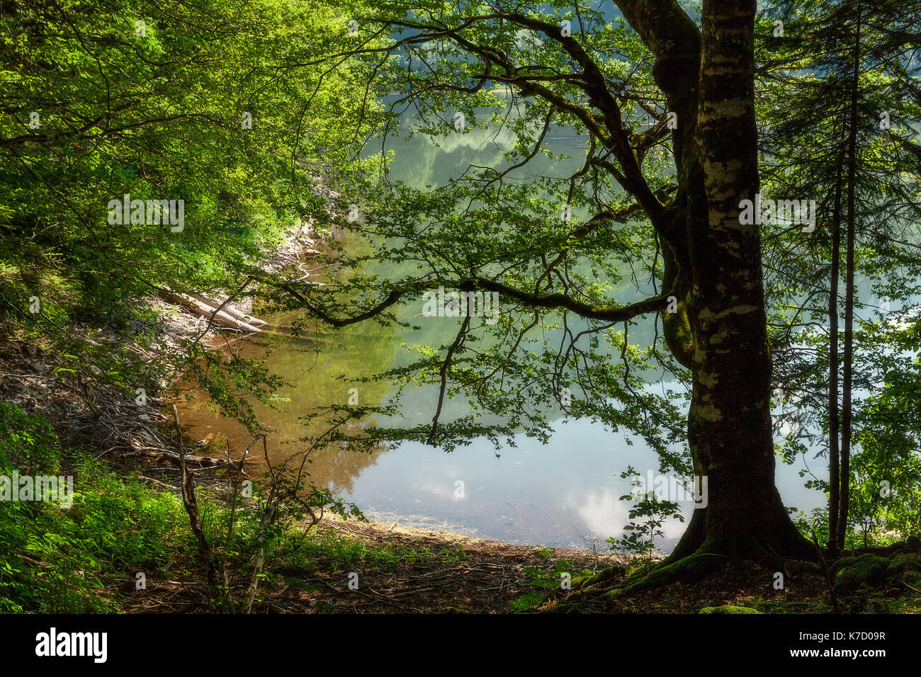 Biogradska hi-res stock photography and images - Alamy