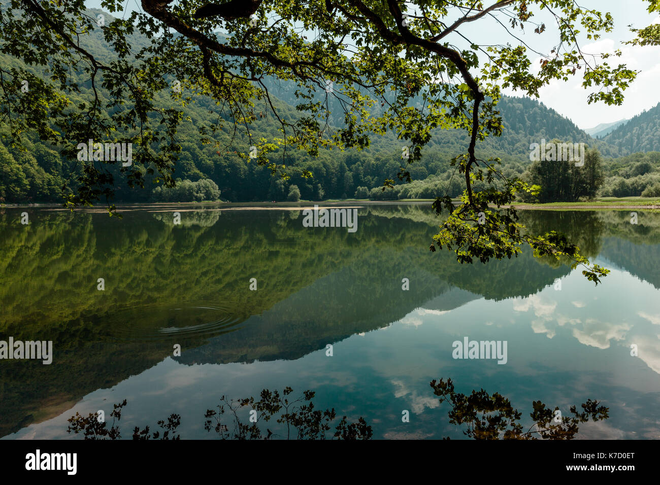 Lake reflection in Biogradska Gora national park, Montenegro Stock ...