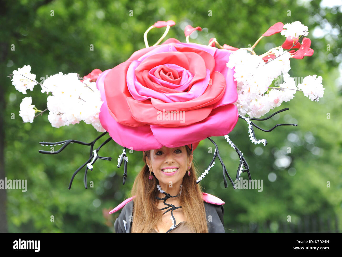 Tracy rose hi-res stock photography and images - Alamy