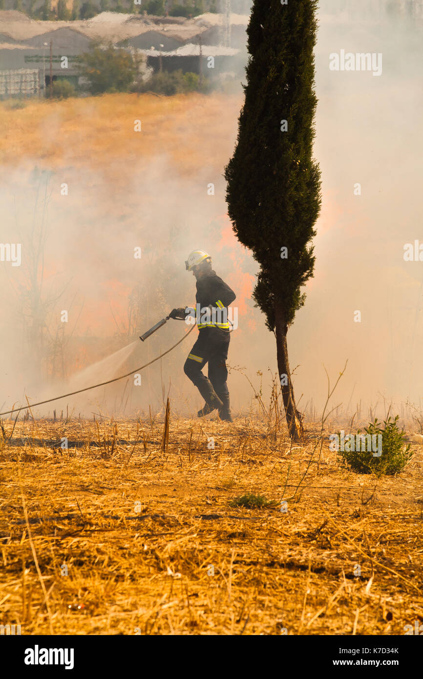 Man putting out fire forest hi-res stock photography and images - Alamy