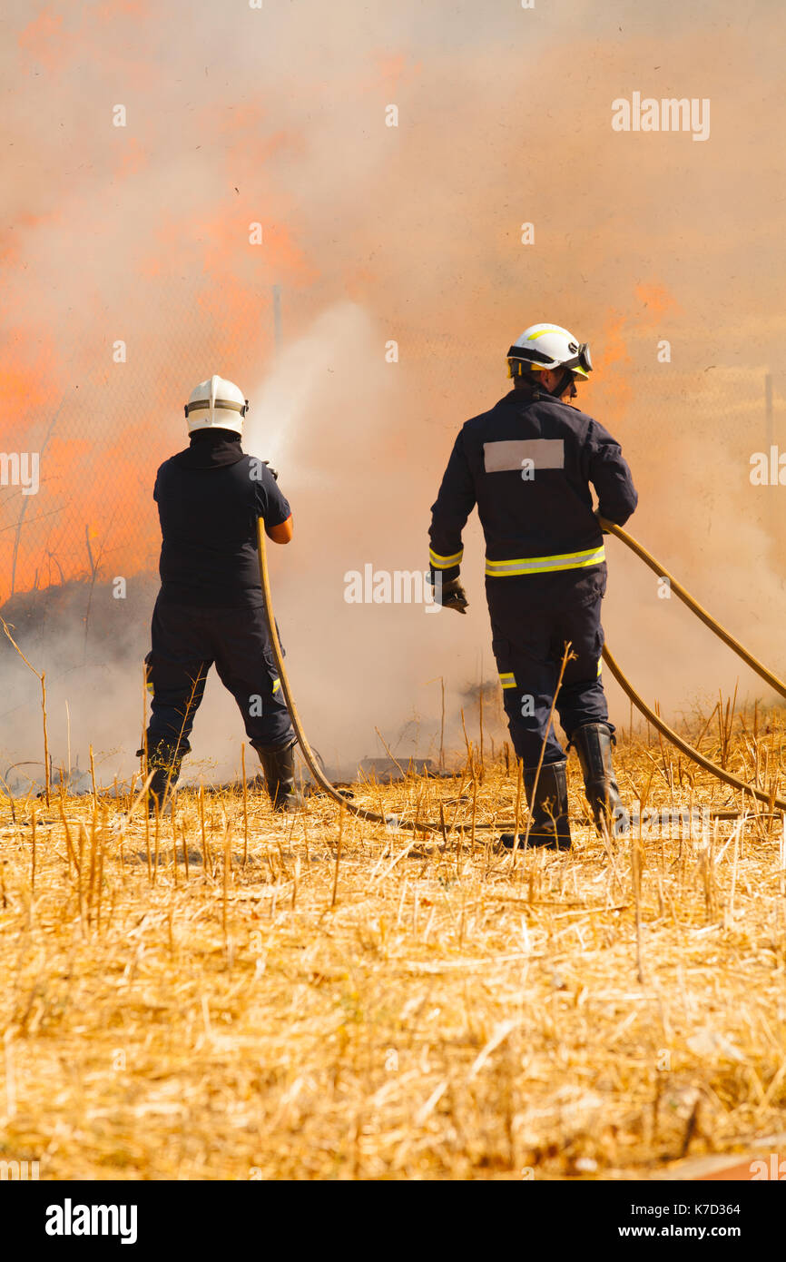 Man putting out fire forest hi-res stock photography and images - Alamy