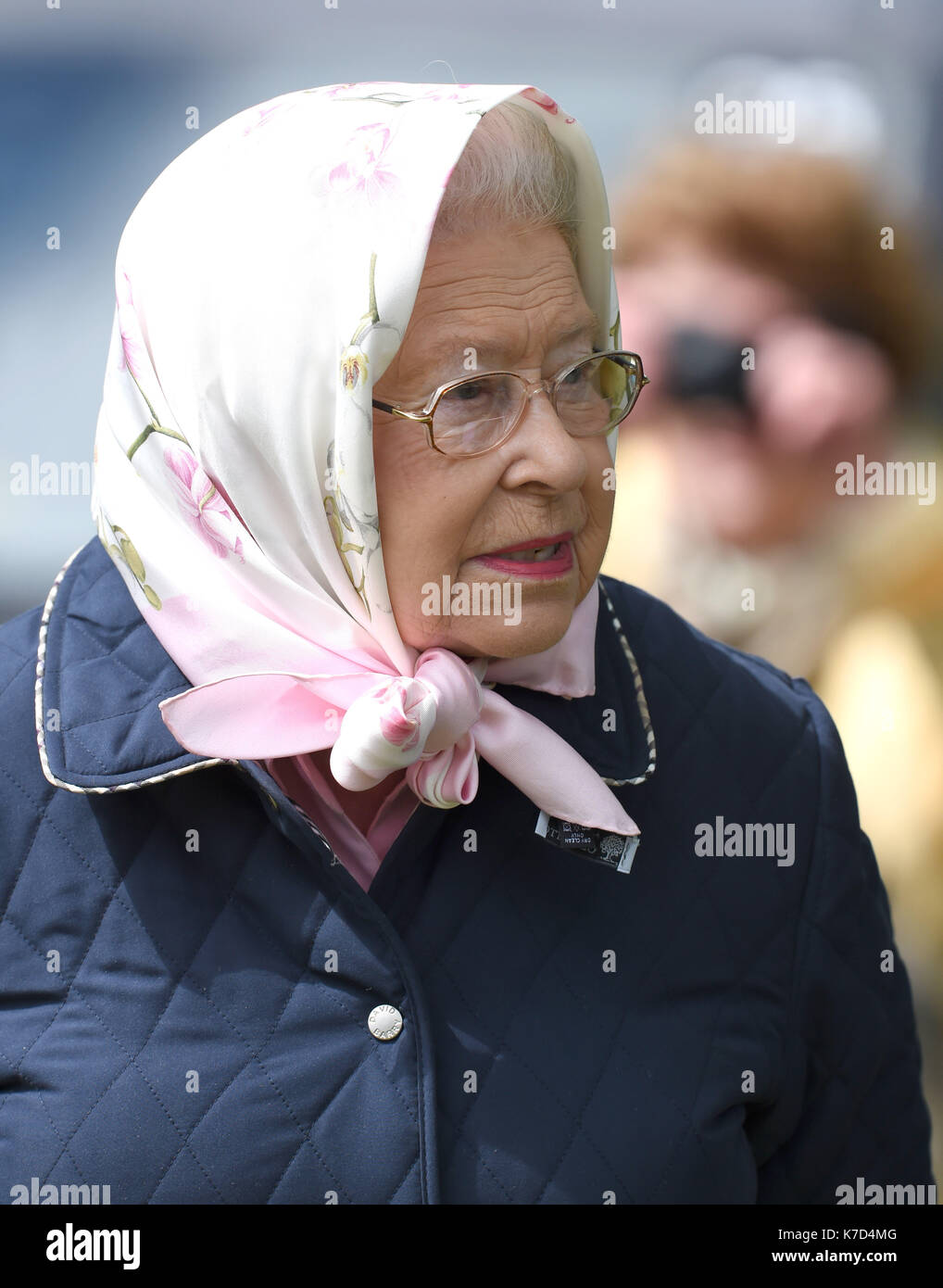 Queen elizabeth profile 2016 hi-res stock photography and images - Alamy