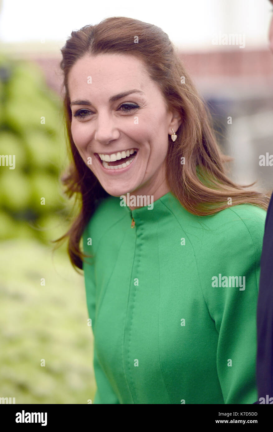 Duchess cambridge catherine portrait hi-res stock photography and ...