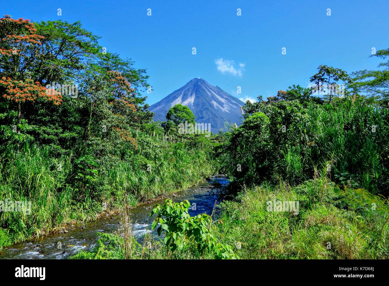 Arenal active volcano national park Costa Rica Stock Photo - Alamy
