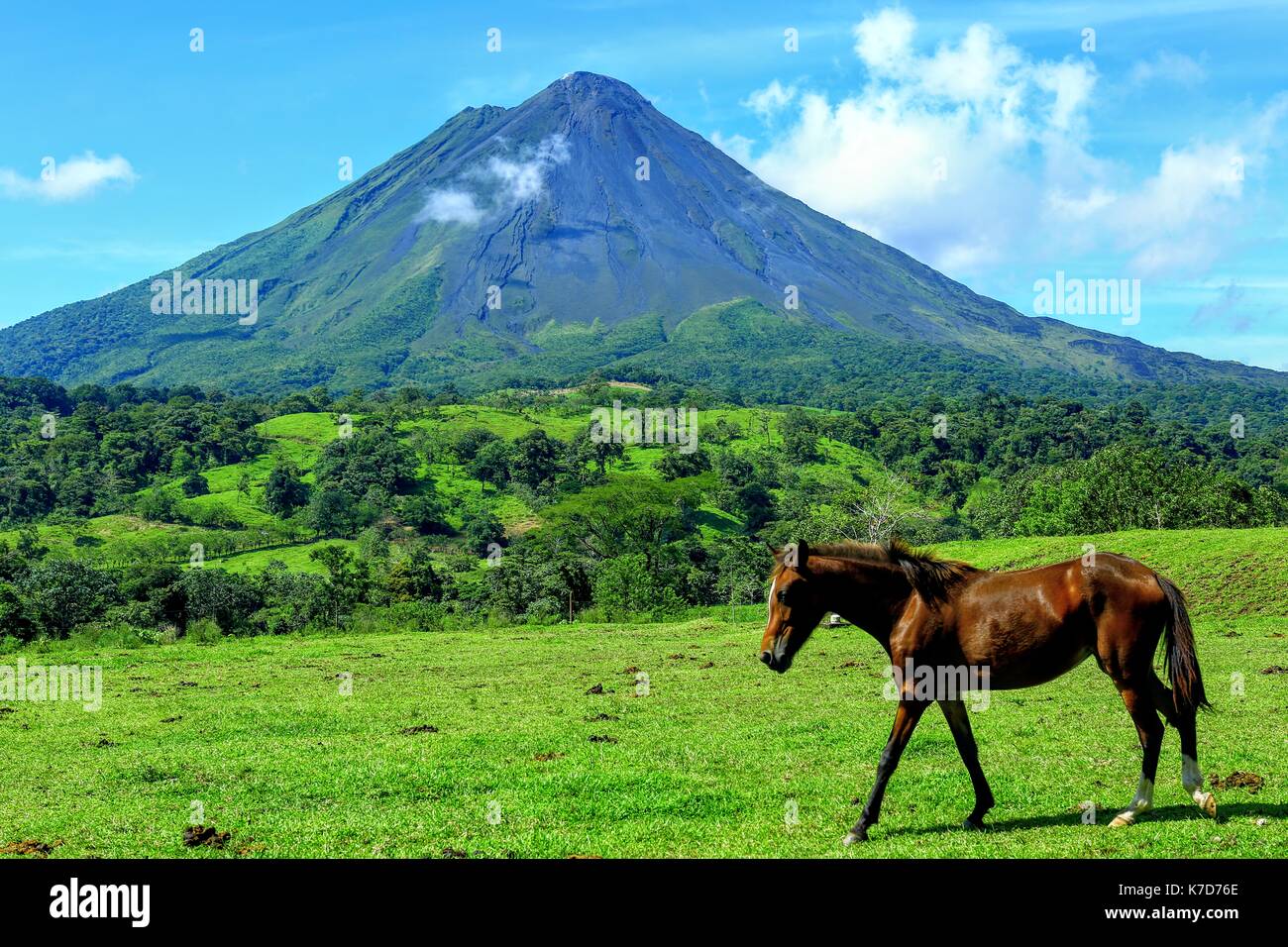 Volcans national park hi-res stock photography and images - Alamy